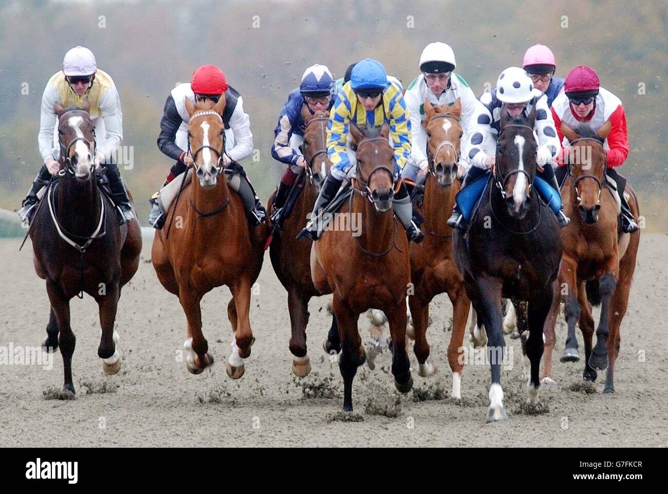 Course à partir de Lingfield, le 12.20, les robinets pour les piquets ...