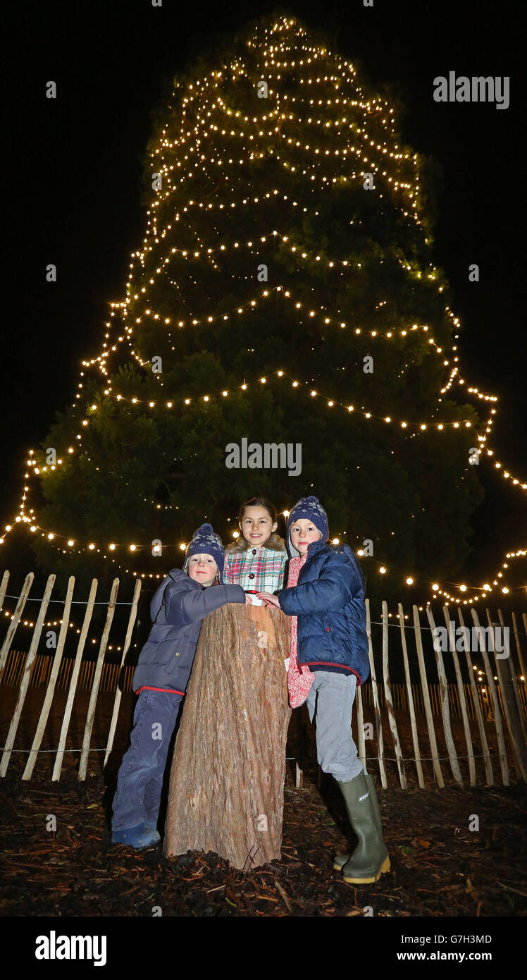 Kitty Underhill (au milieu) avec ses frères Barnaby (à gauche) et Tom ...
