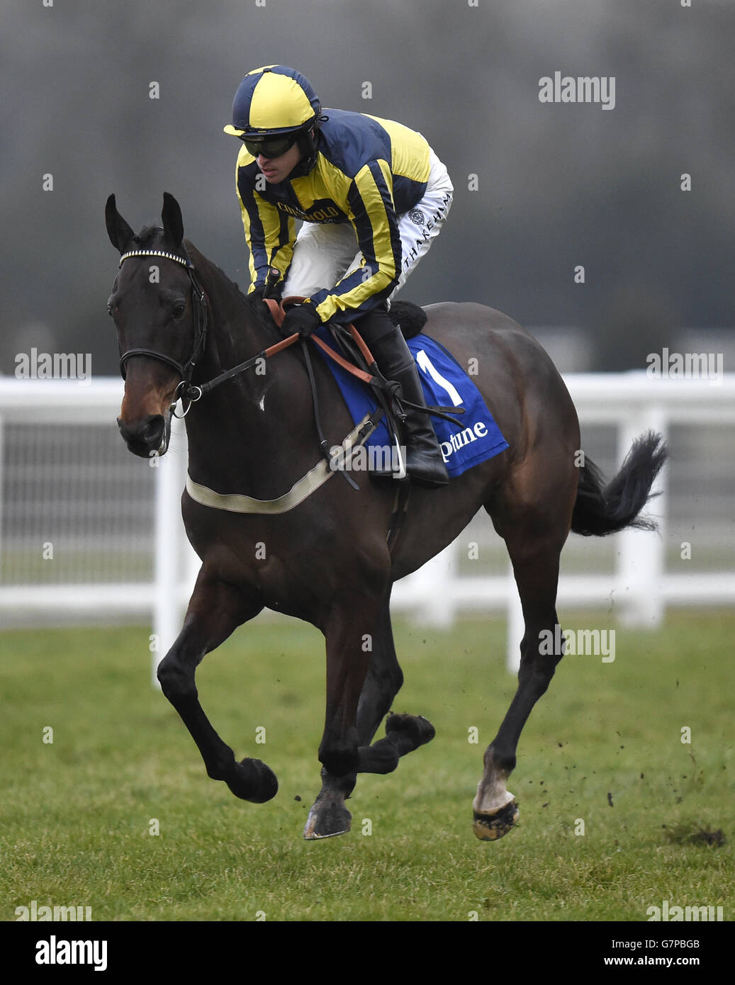 Ampli de stock pleine longueur ascot racing Banque de photographies et ...