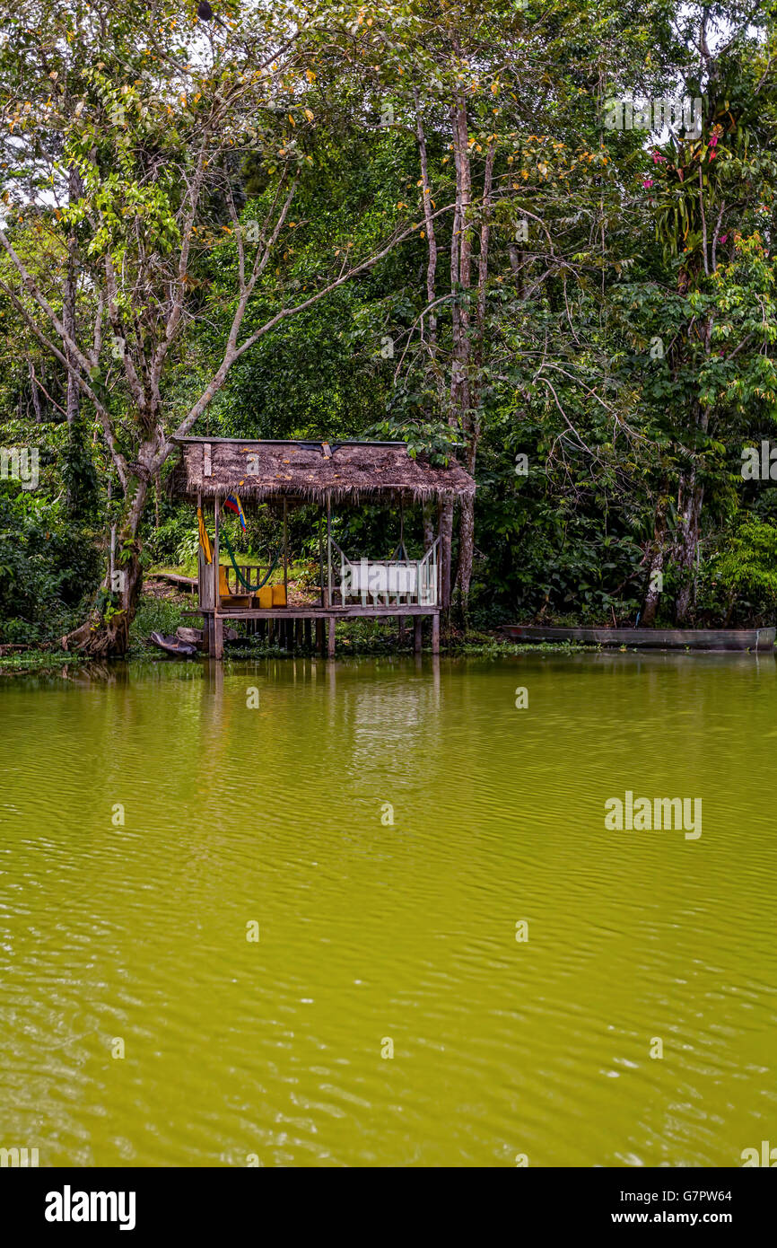 Faune amazonienne Banque de photographies et d’images à haute ...