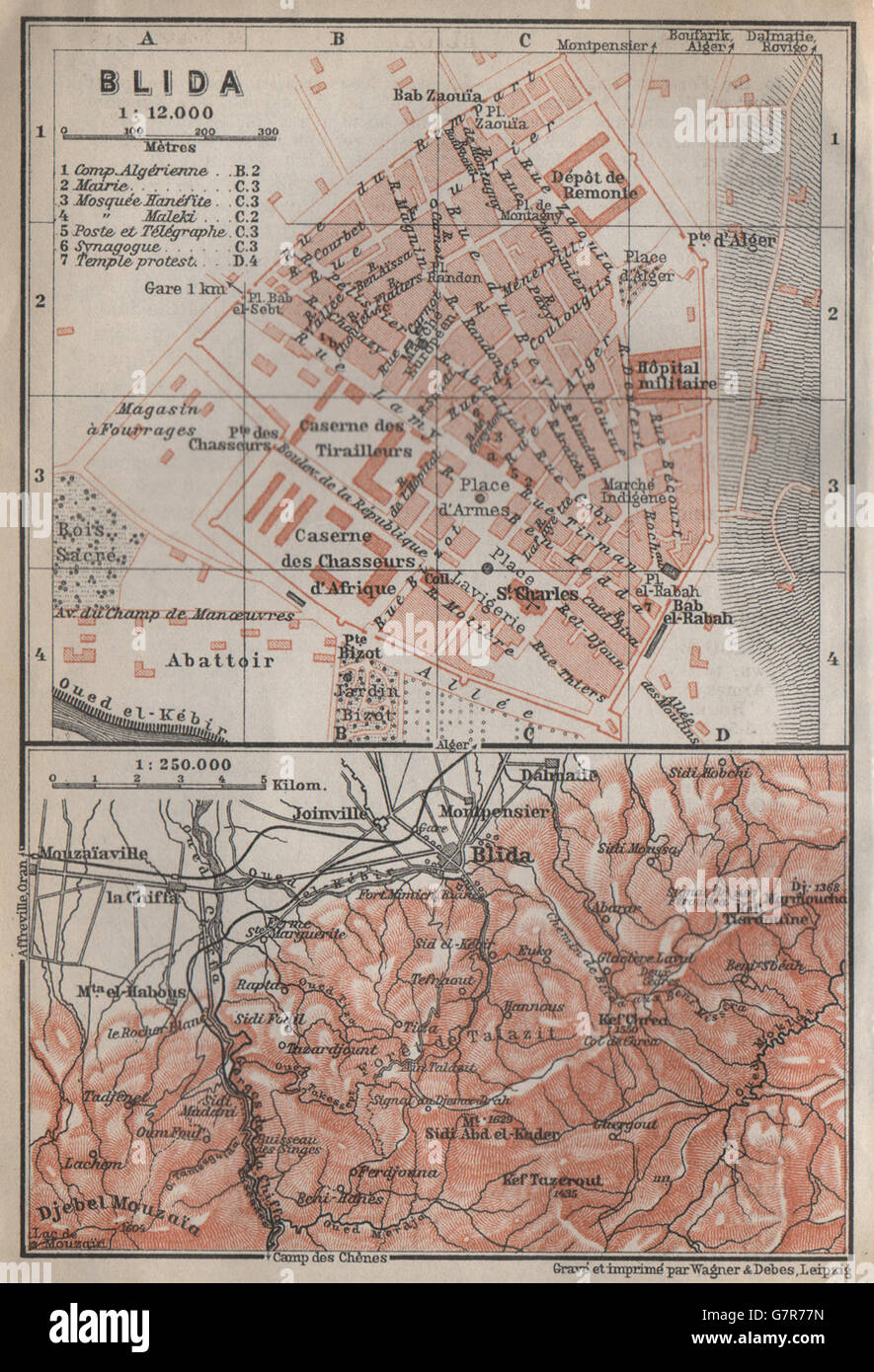 Plan de la ville ville antique de Blida et ses environs. Carte de l'Algérie. Ancienne carte ...
