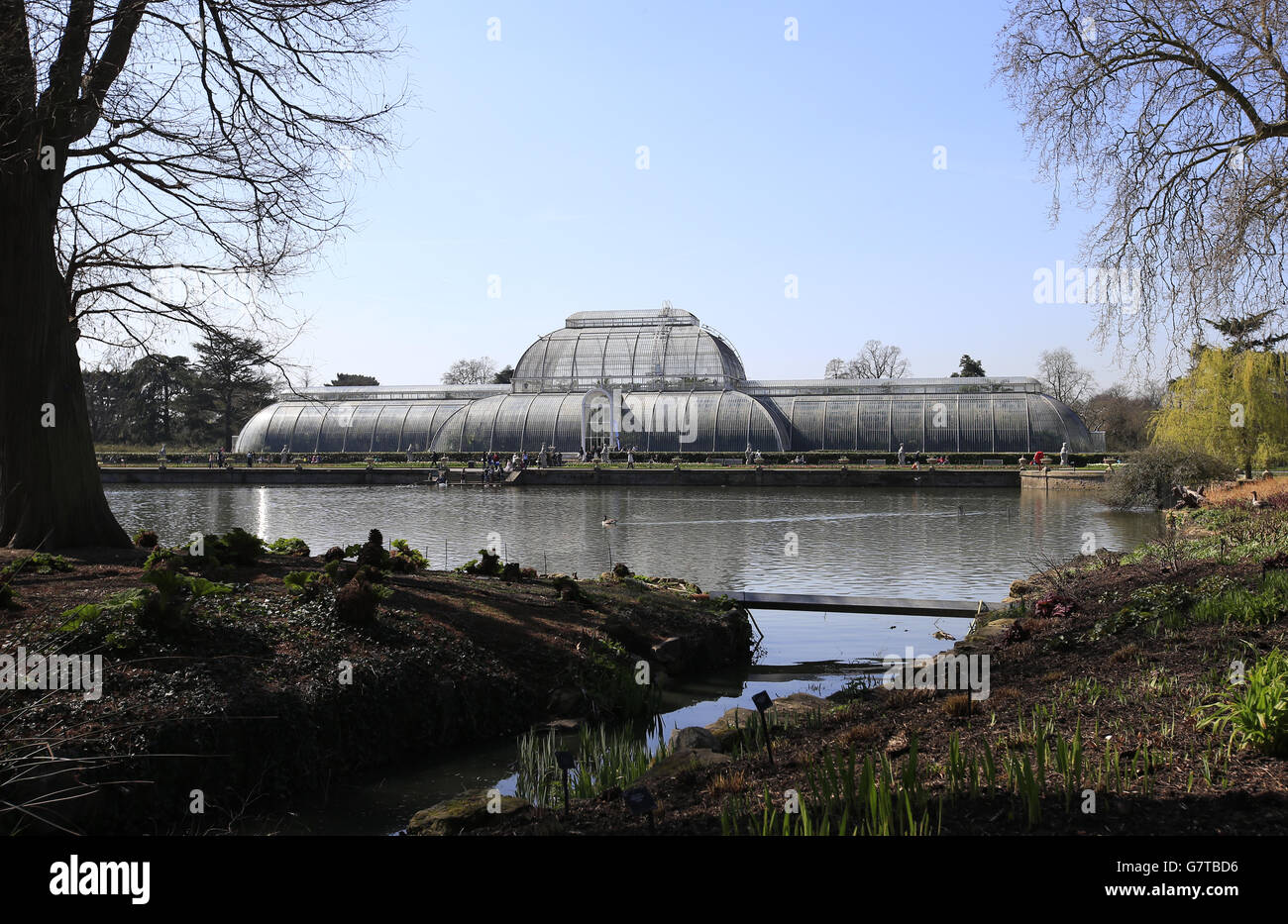 Le Palm House de Kew Gardens, Londres, conçu par Decimus Burton et ...