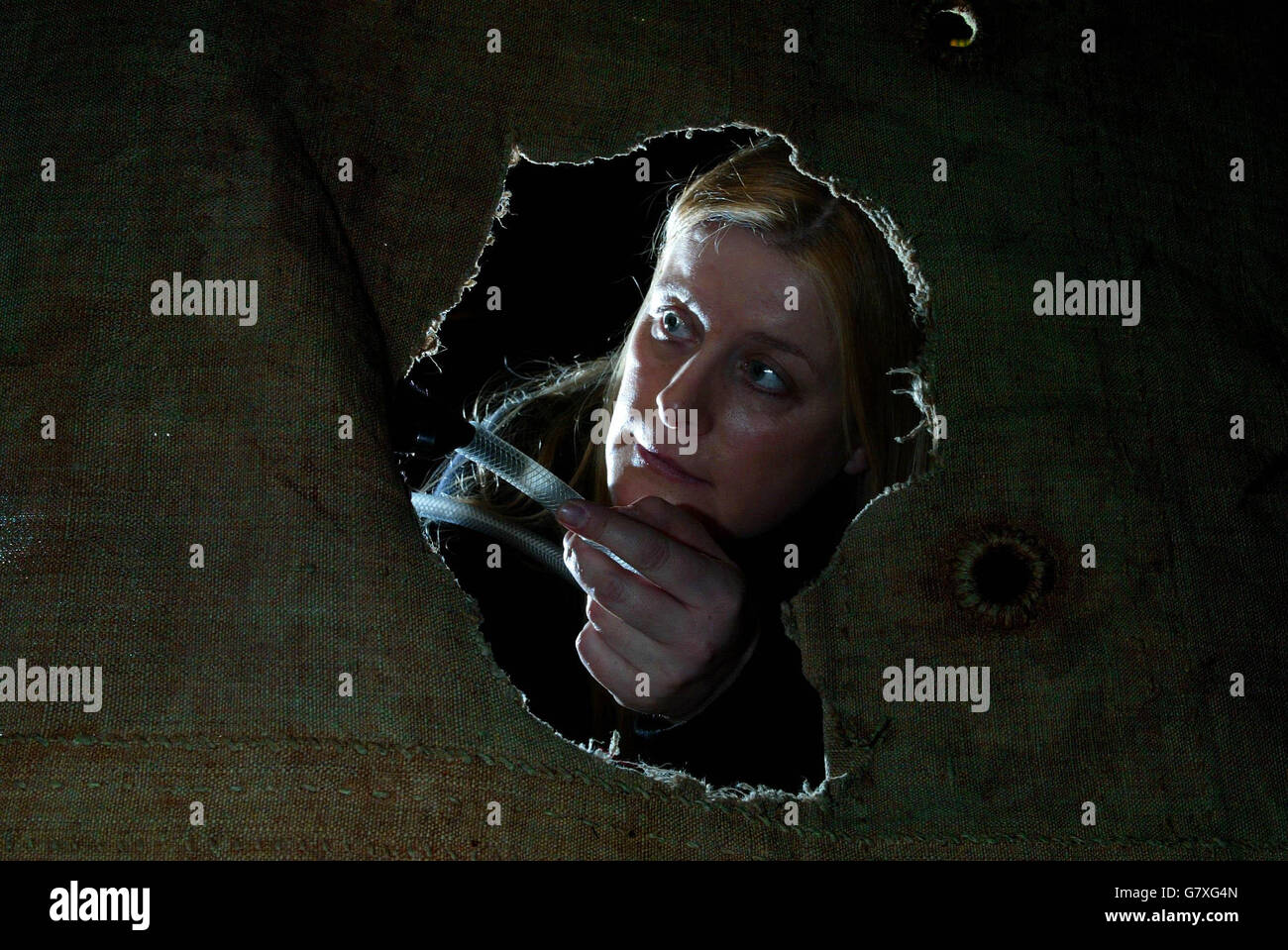 Le conservateur Sue Bickerton aspire soigneusement les particules de ...