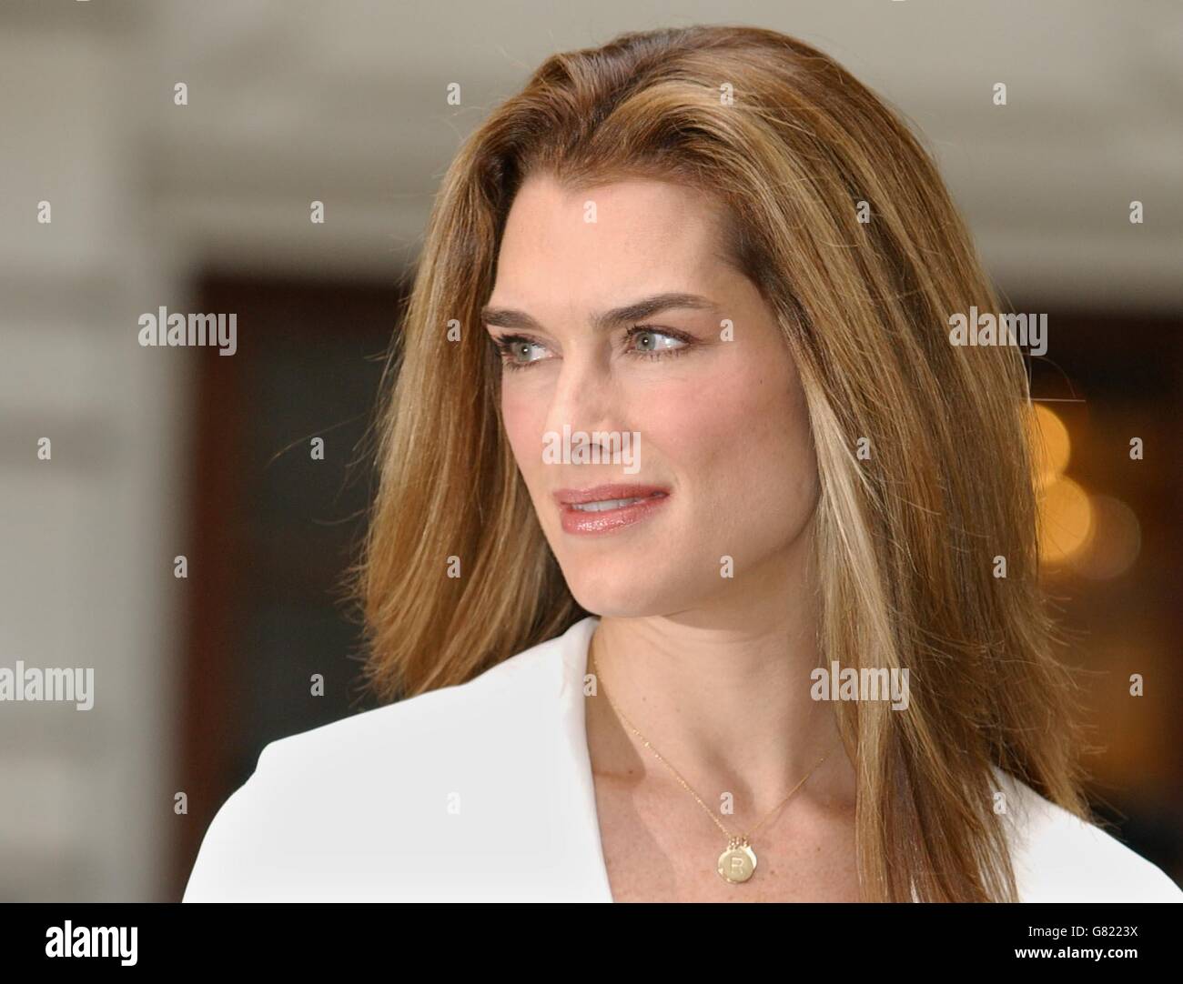 Brooke shields chicago photocall renaissance chancery court hotel ...