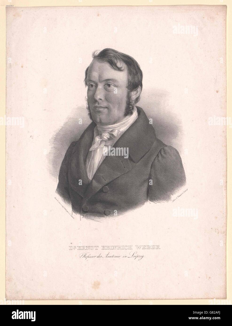 Ernst weber Banque de photographies et d’images à haute résolution - Alamy