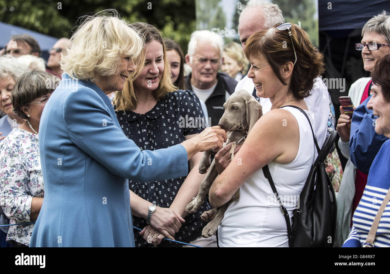 Royal sandringham sandringhamflowershow Banque de photographies et d ...