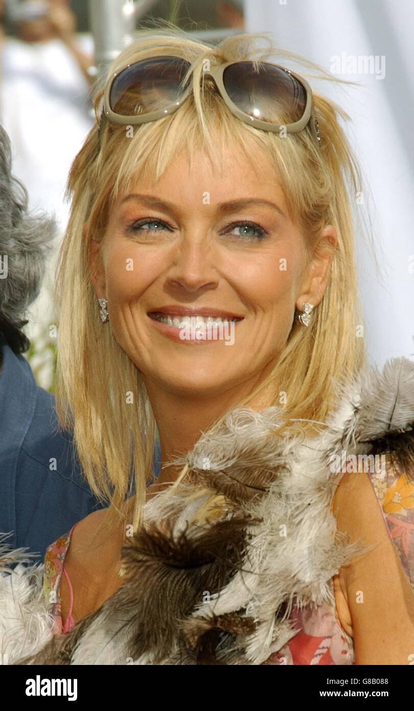 Cannes film festival 2005 basic instinct 2 photocall carlton terrasse ...