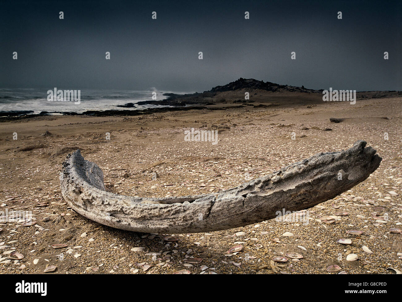 Whale bone africa desert Banque de photographies et d’images à haute ...