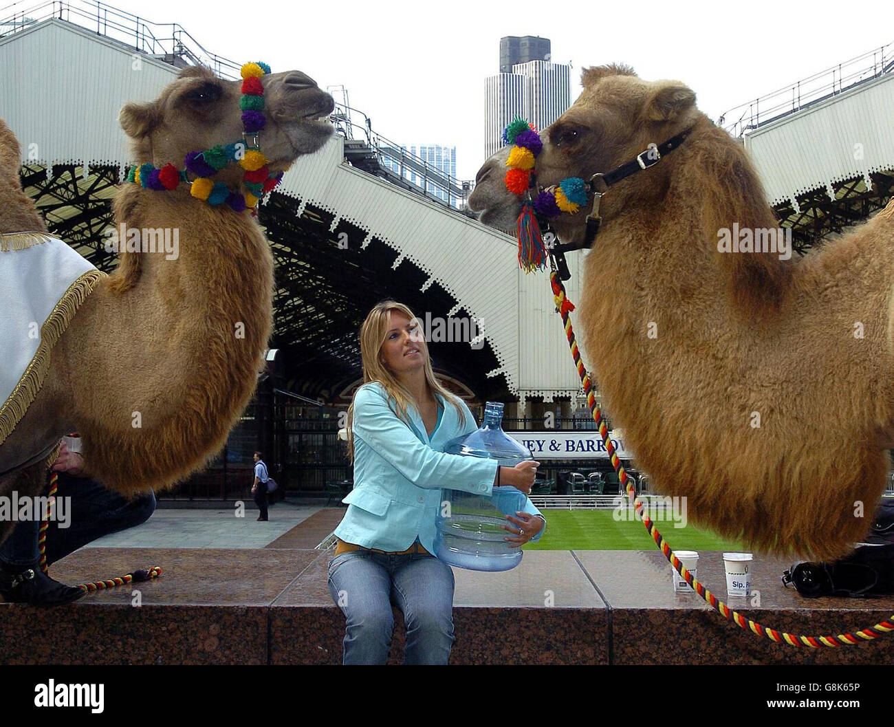 Laura brooks Banque de photographies et d’images à haute résolution - Alamy