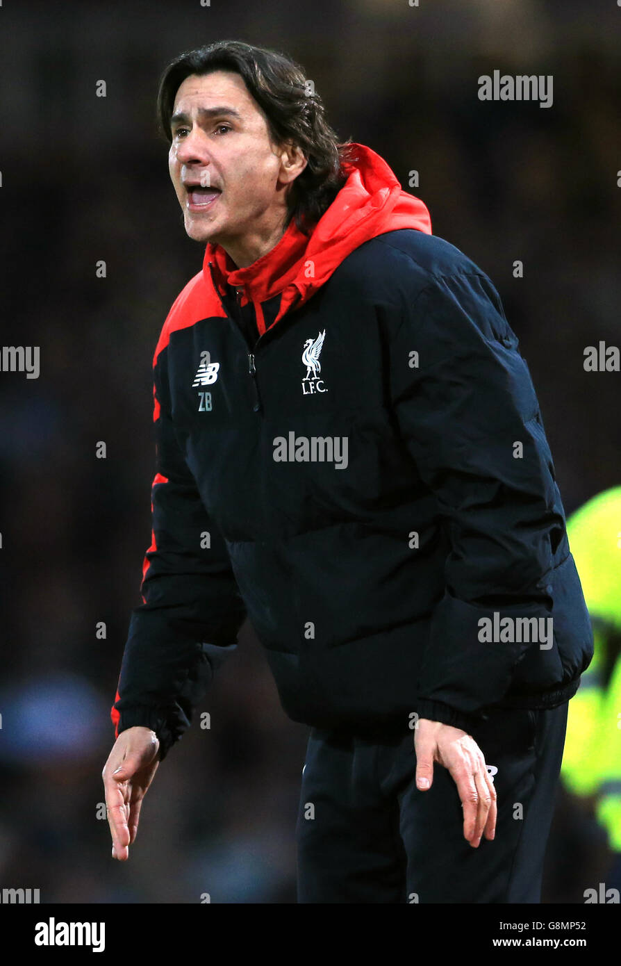 Directeur adjoint zeljko buvac Banque de photographies et d’images à ...