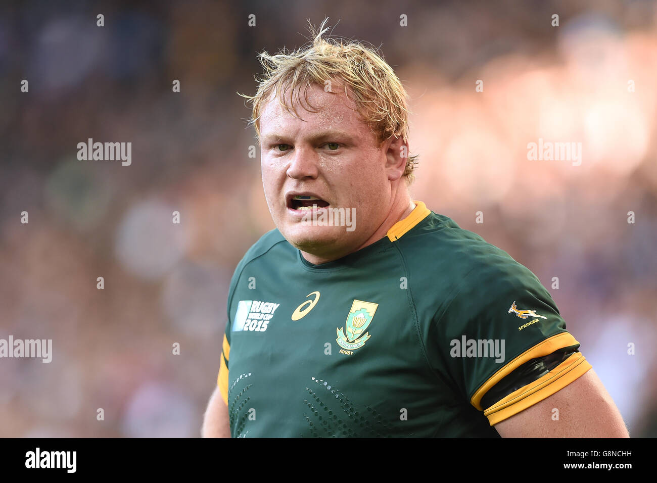 Adriaan strauss 2015 rugby Banque de photographies et d’images à haute ...