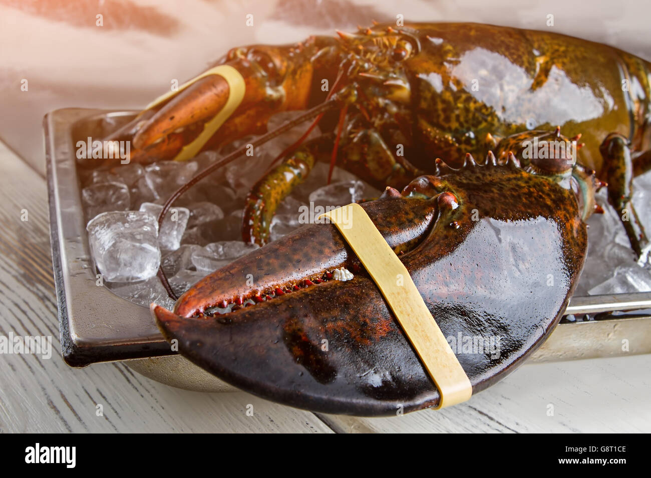Homard cru Banque de photographies et d’images à haute résolution - Alamy