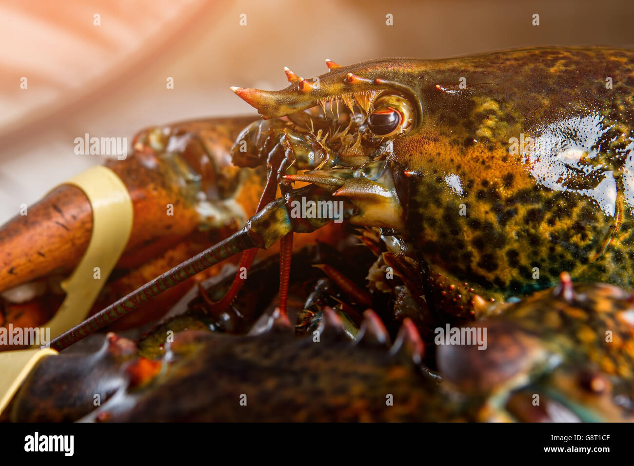 Servir du homard Banque de photographies et d’images à haute résolution ...