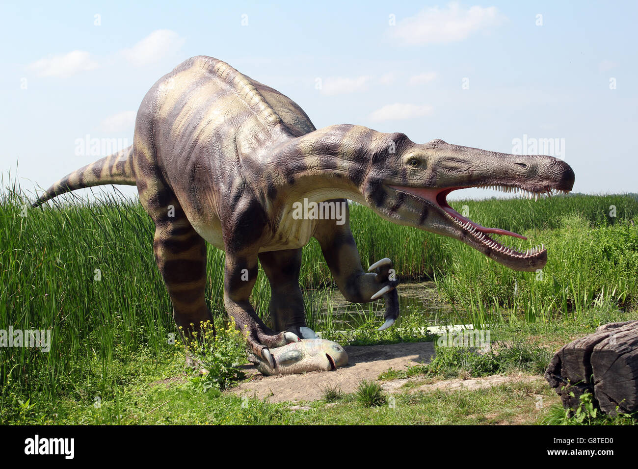 Prehistory animal Banque de photographies et d’images à haute ...