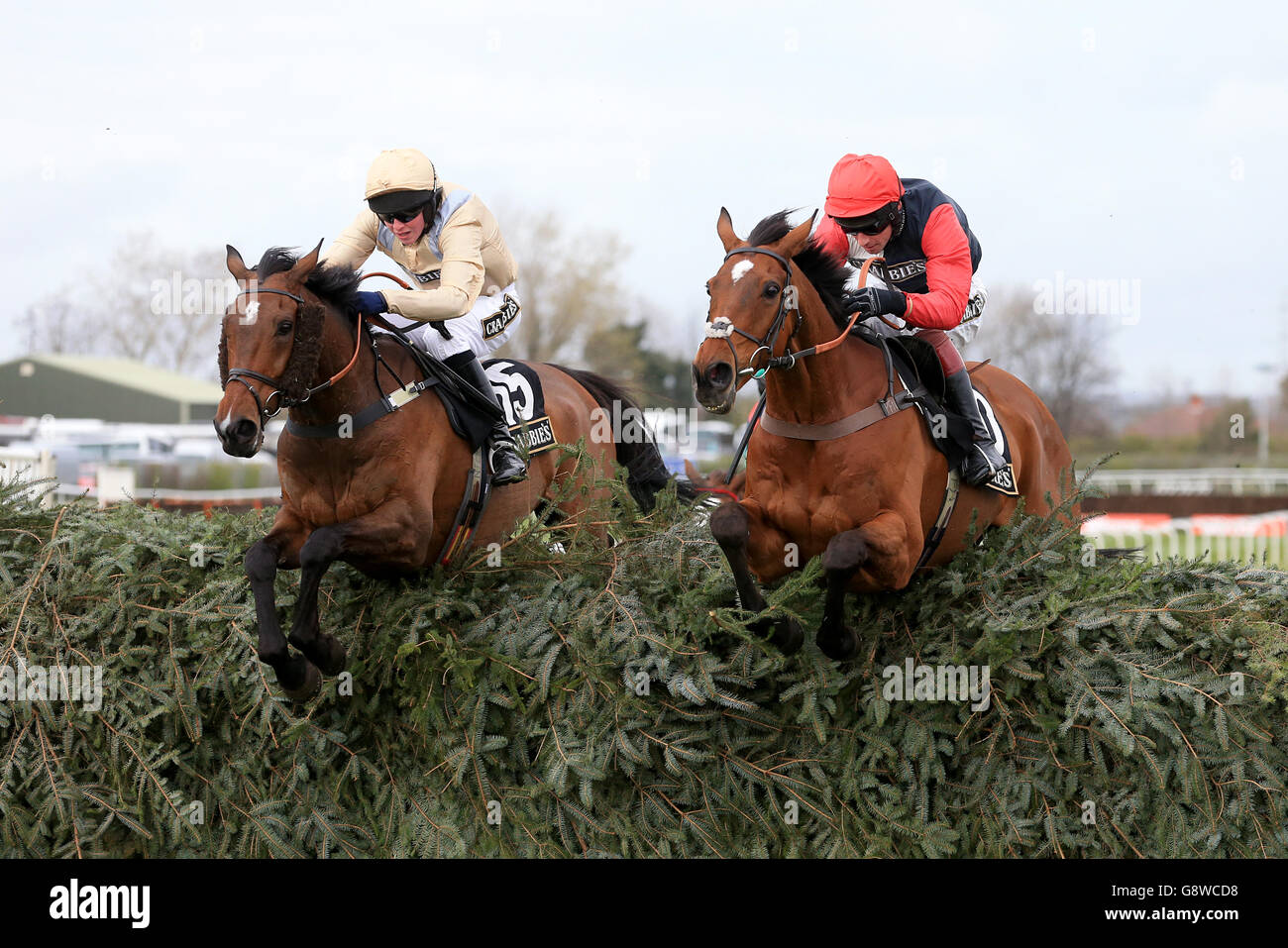 Monkey Kingdom, monté par Declan Queally (à gauche) et Pacha du POLDER ...