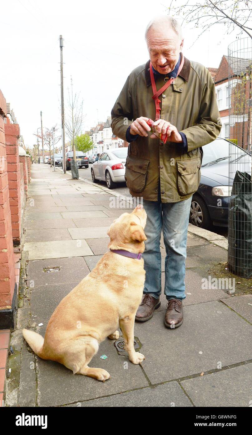 Avec son chien coco Banque de photographies et d’images à haute ...