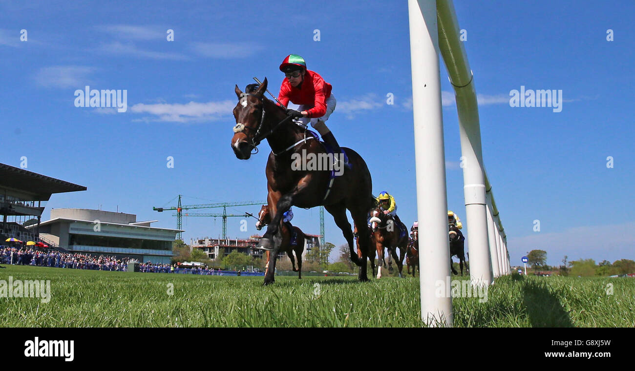 Lundy horse Banque de photographies et d’images à haute résolution - Alamy