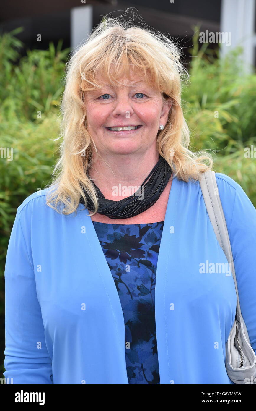 Pippi langstrumpf inger nilsson pippi Banque de photographies et d ...