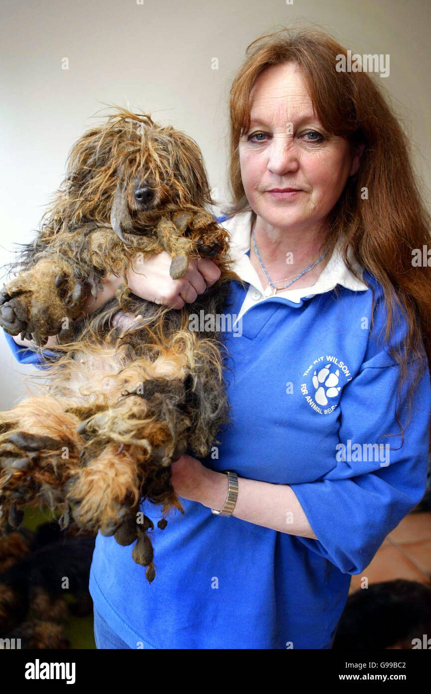 Colette wilson Banque de photographies et d’images à haute résolution ...