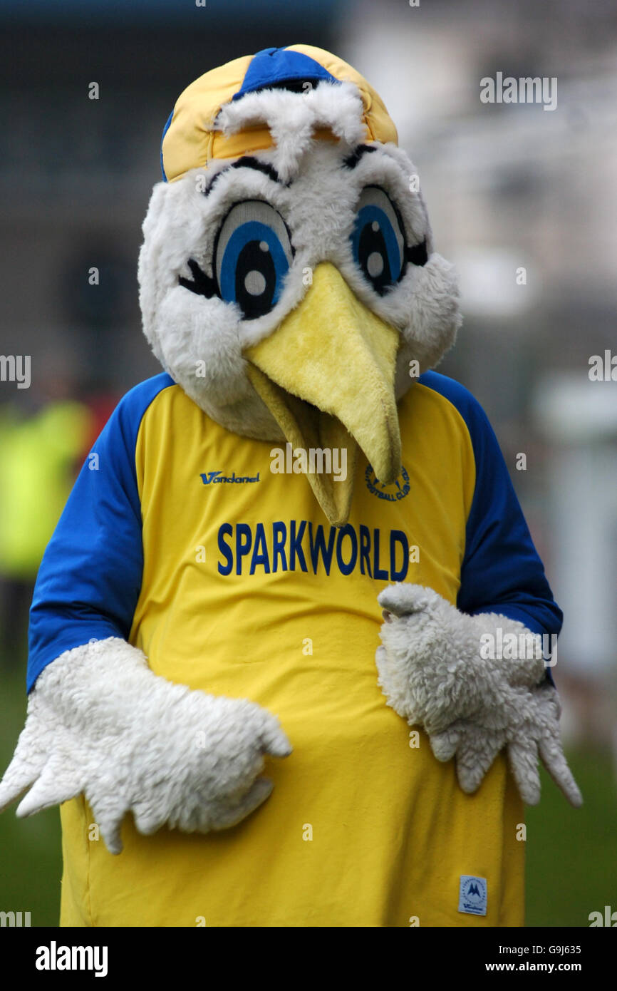 Mascotte de torquay united Banque de photographies et d’images à haute ...