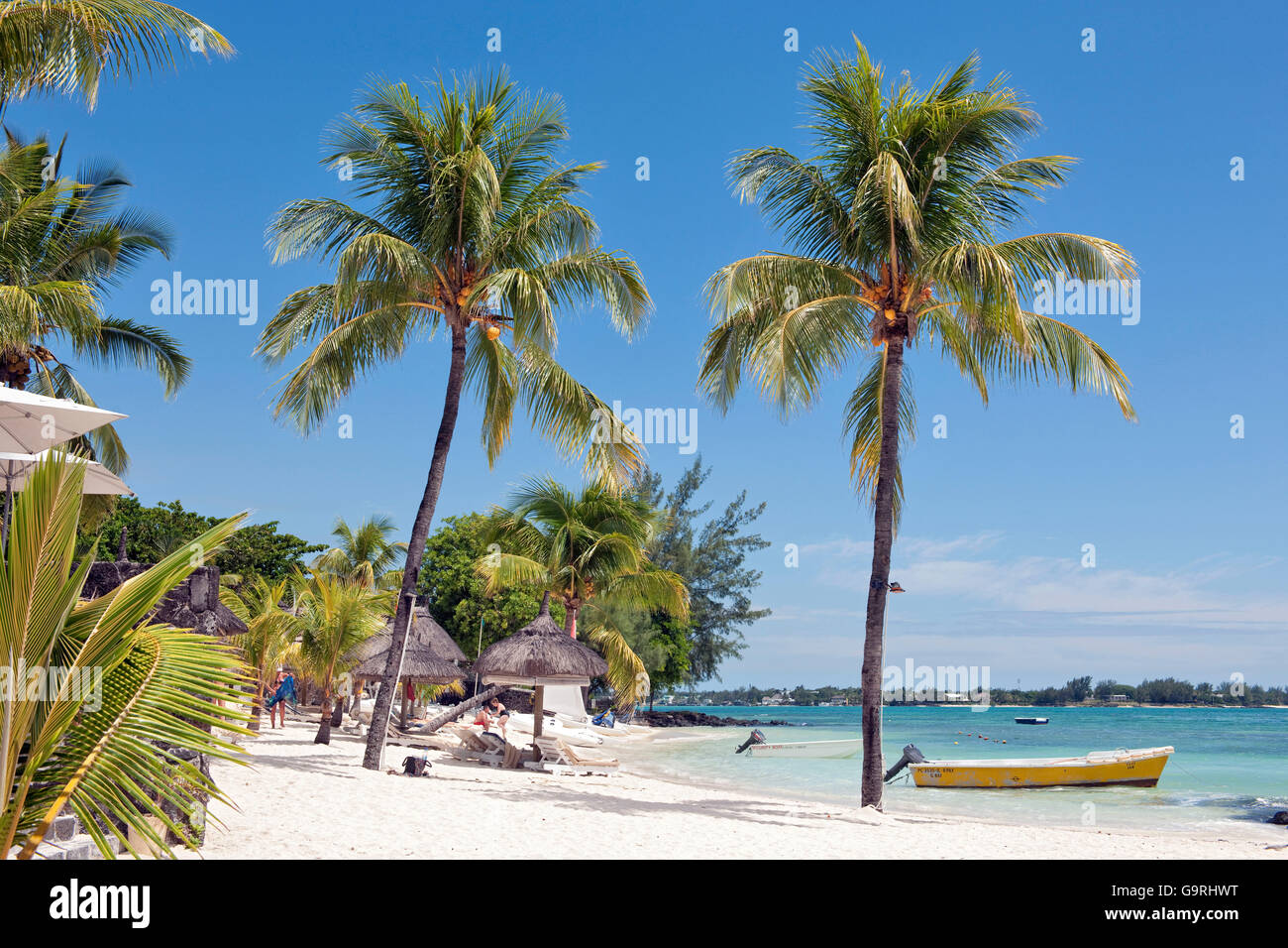 Scène de plage avec palmier et bateau, Pereybere, Île Maurice, Afrique ...