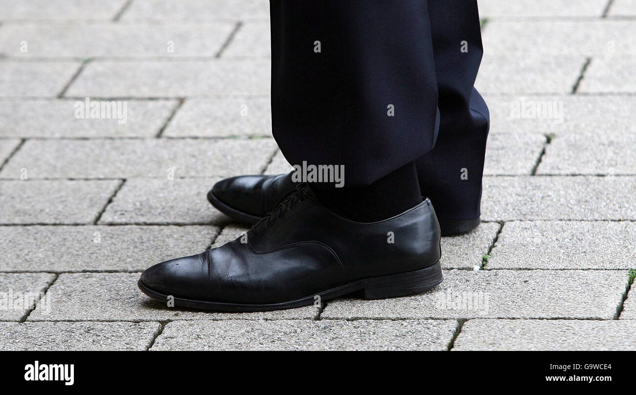 Chancelier brown dans le nord ouest Banque de photographies et d’images ...