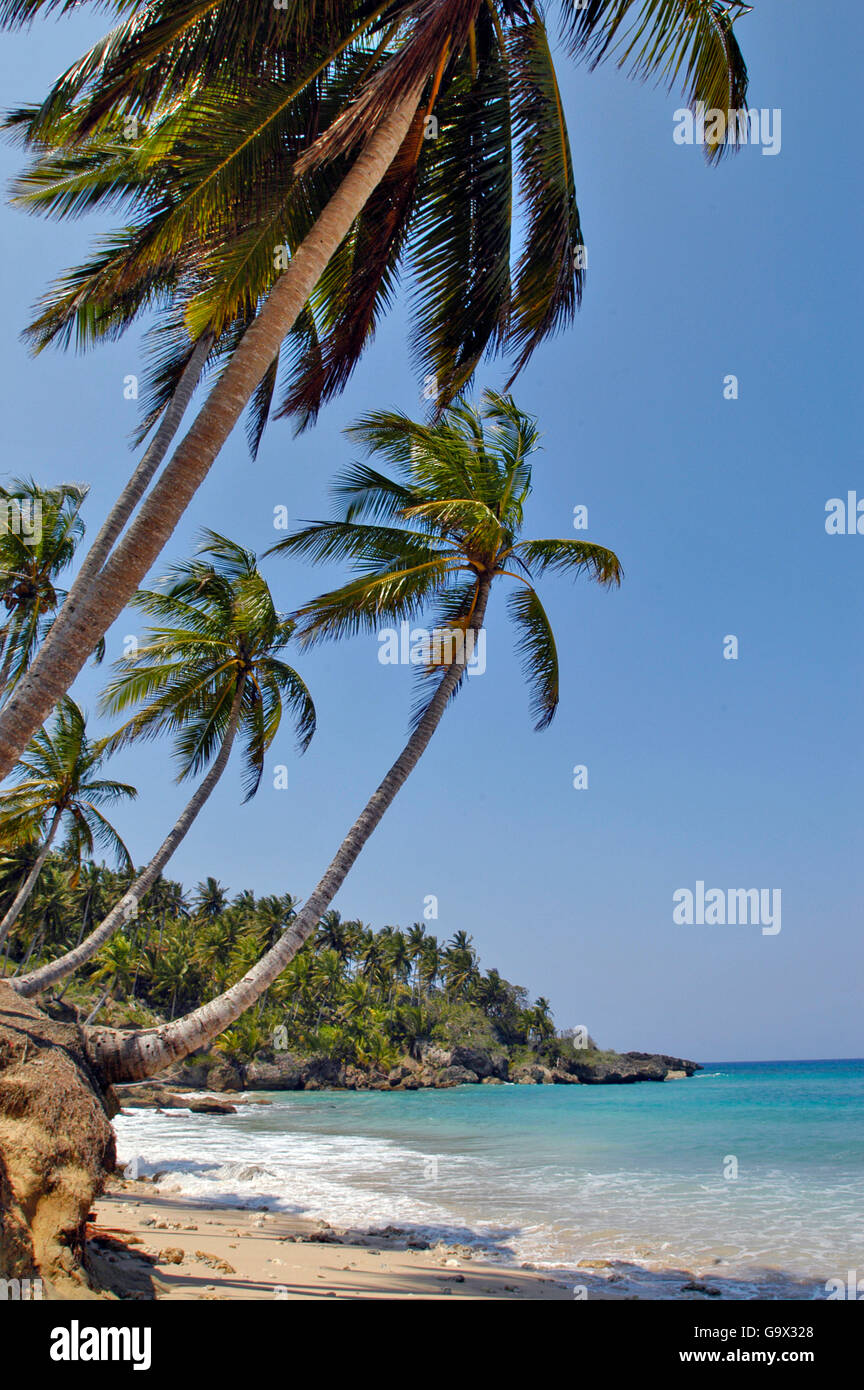 Plage, côte nord, île d'Hispaniola, Sosua, République dominicaine ...