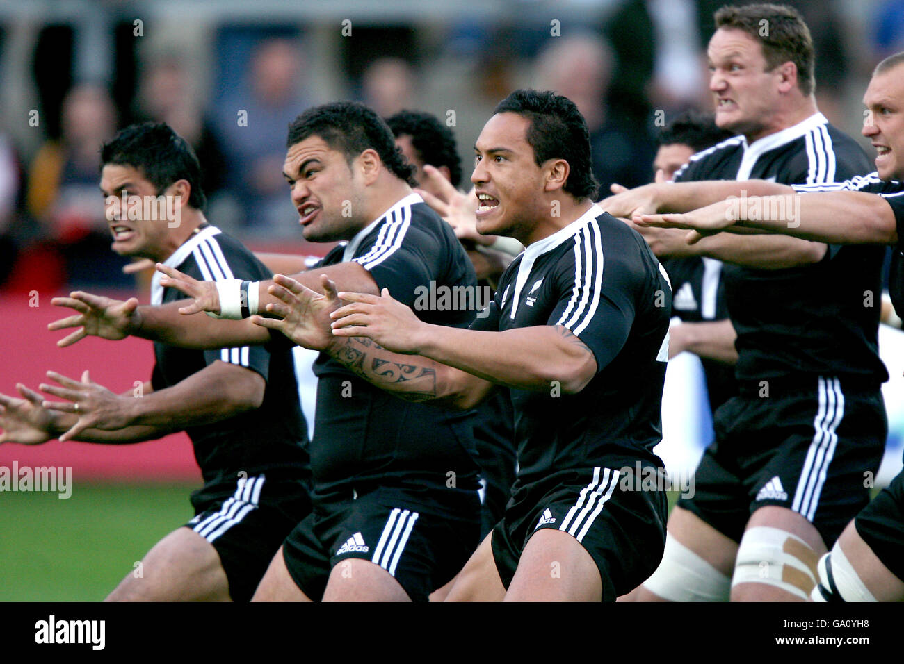 Rugby nz haut maori demi longueur Banque de photographies et d’images à ...