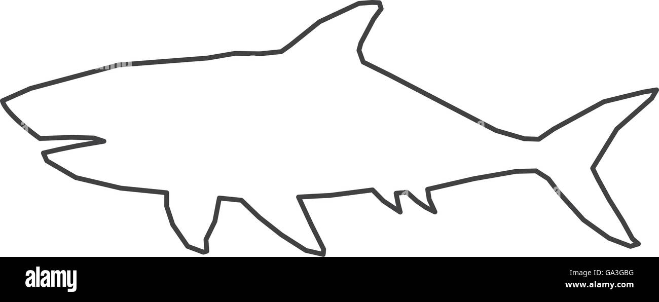 Shark Outline Banque d'image et photos - Alamy