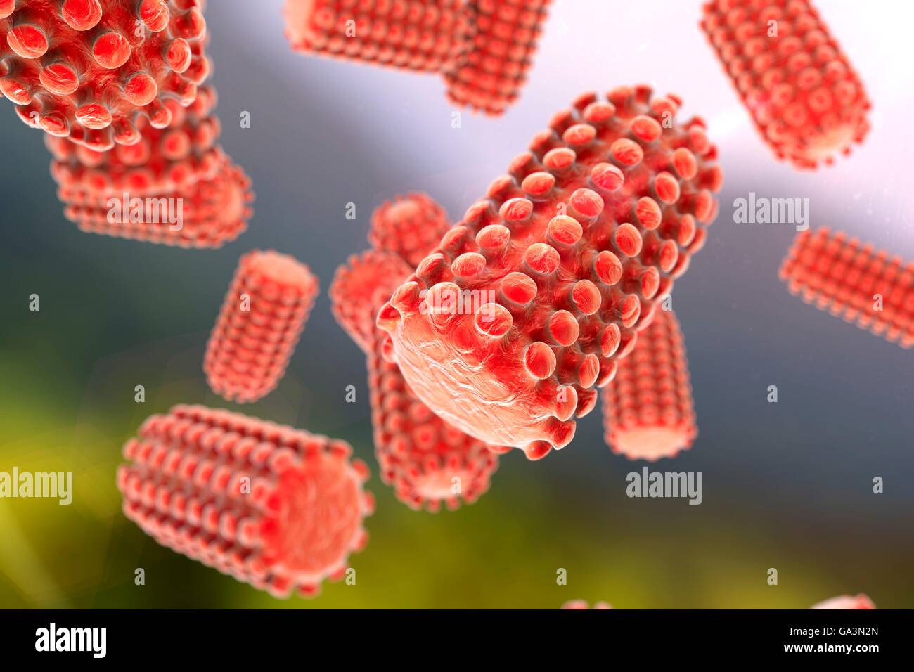 Les particules du virus de la rage, l'illustration de l'ordinateur ...