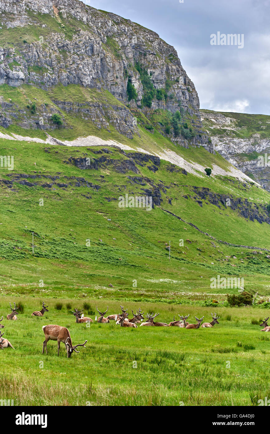 Région de l'Assynt est une paroisse et dans le sud-ouest de Sutherland ...