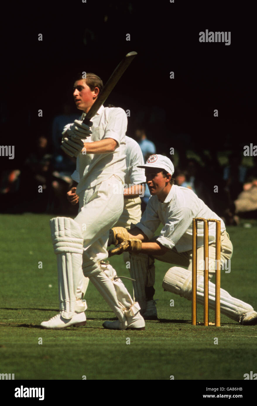 Robin widdows Banque de photographies et d’images à haute résolution ...