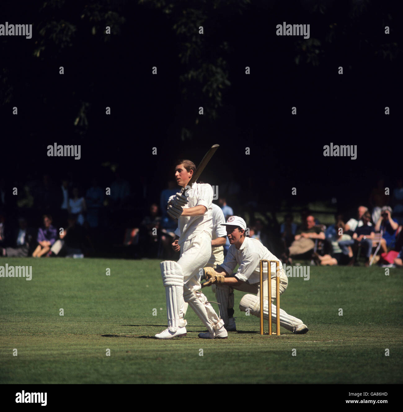 Robin widdows Banque de photographies et d’images à haute résolution ...