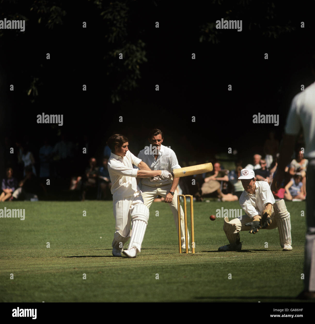 Robin widdows Banque de photographies et d’images à haute résolution ...