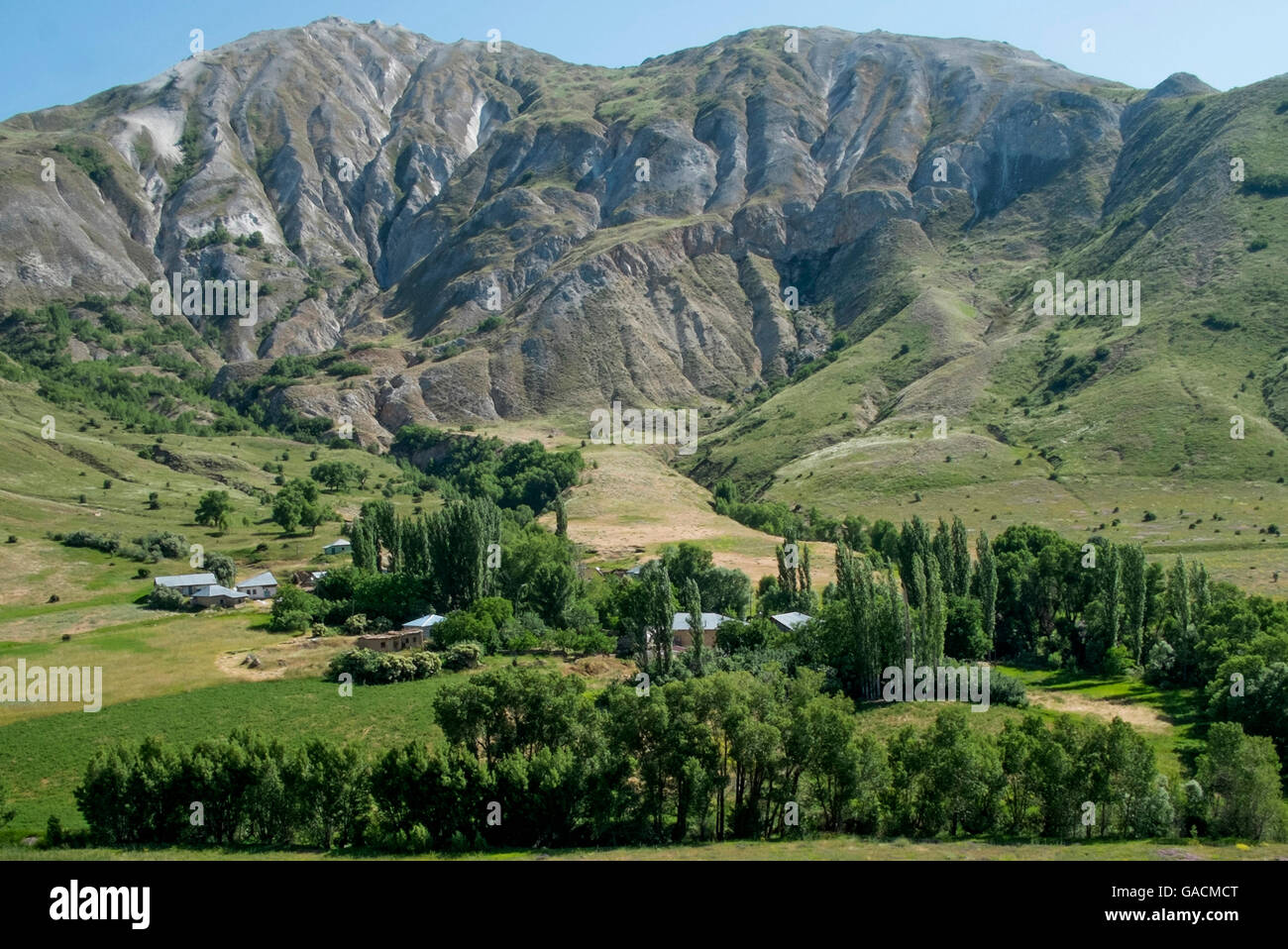 Alevi turkey Banque de photographies et d’images à haute résolution - Alamy