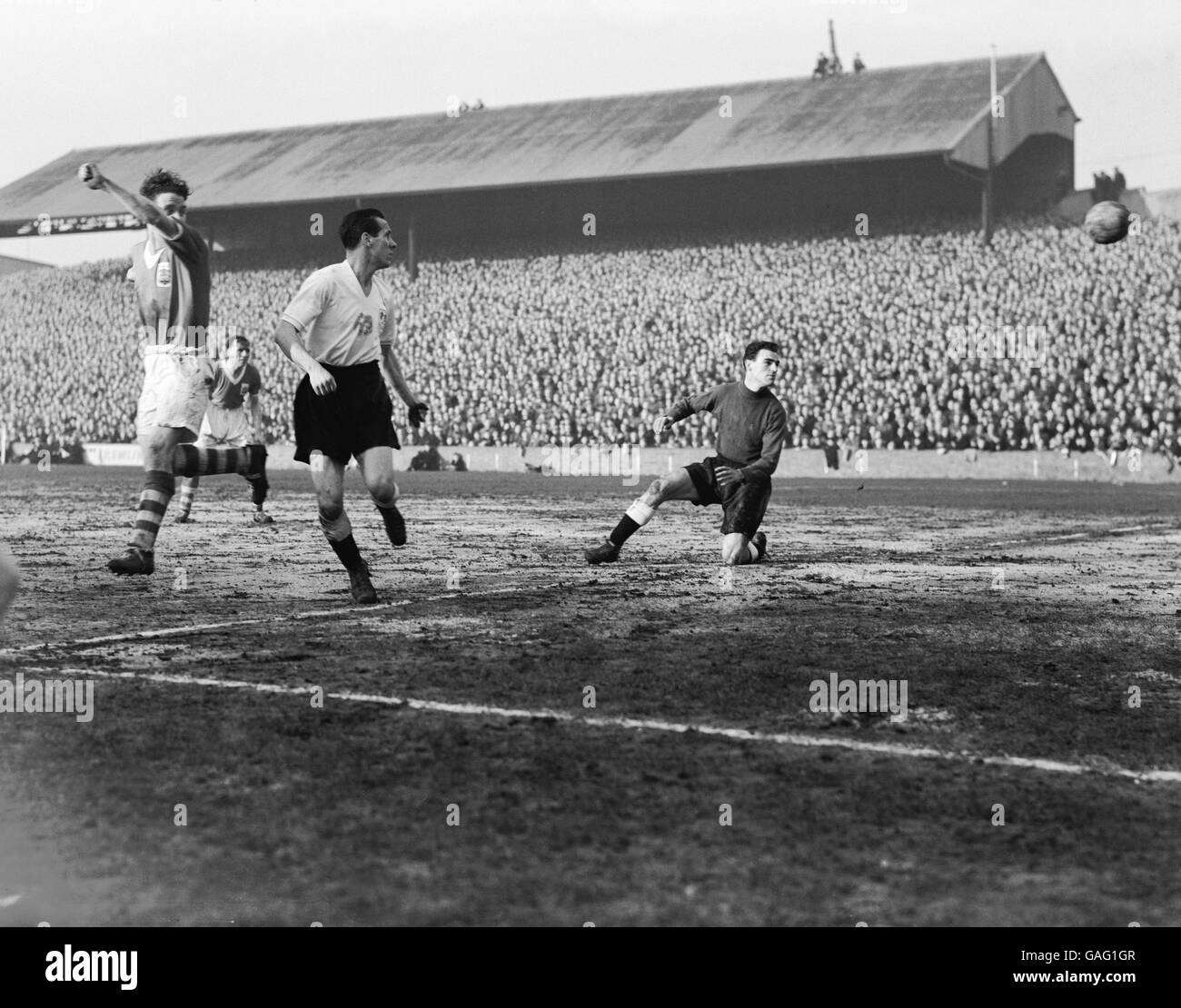 Alex govan Banque de photographies et d’images à haute résolution - Alamy