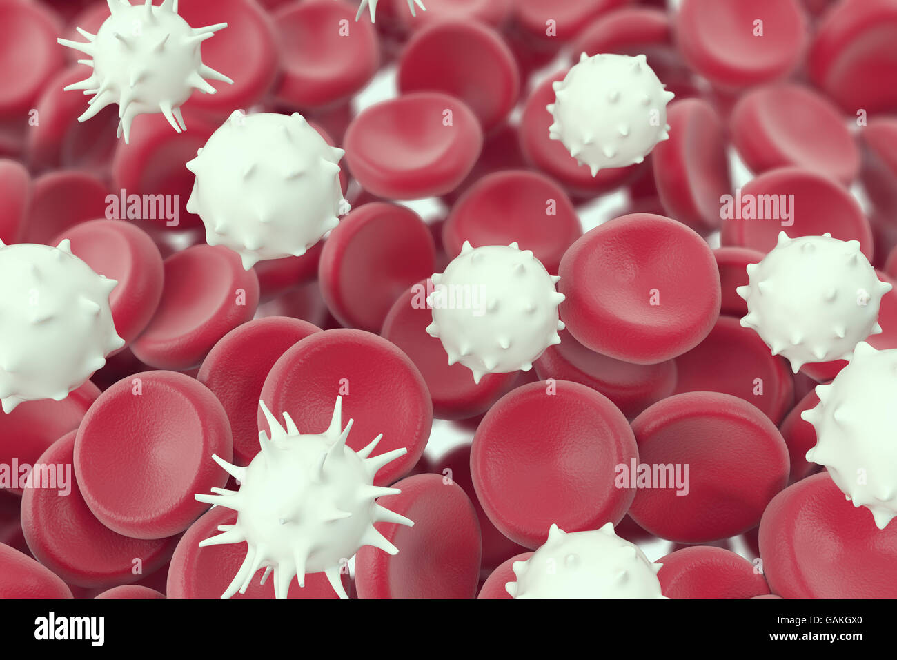 Cellule sanguine Banque de photographies et d’images à haute résolution ...