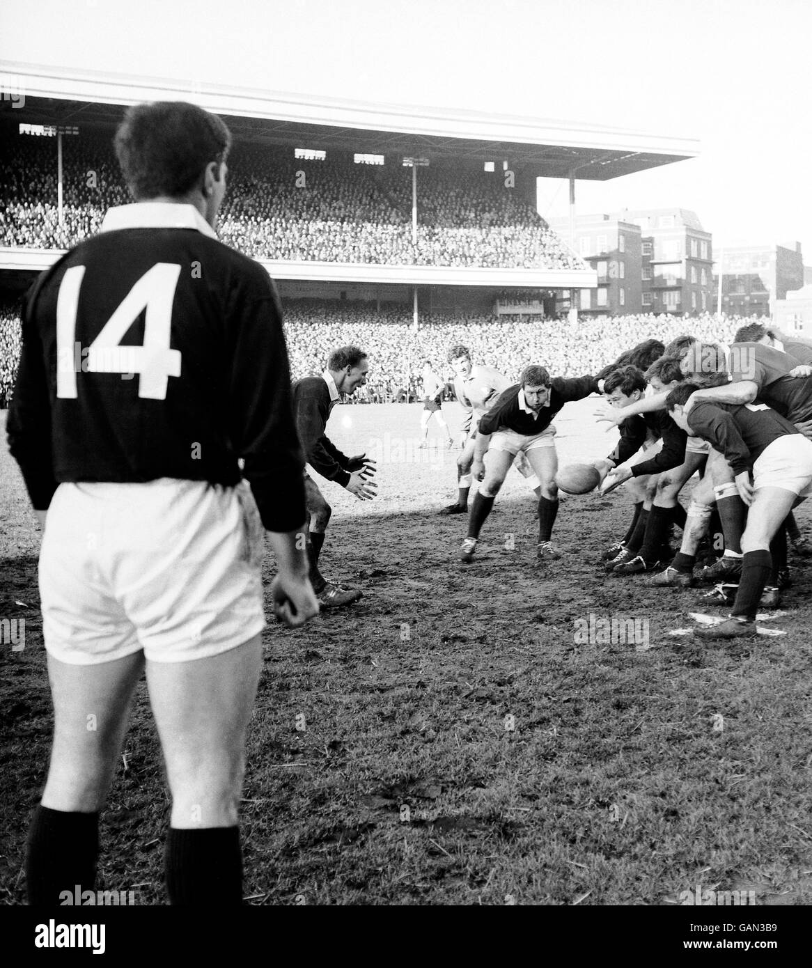 David rollo Banque de photographies et d’images à haute résolution - Alamy