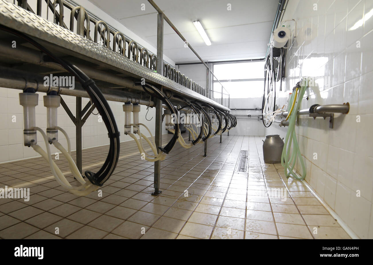 Salle de traite brebis Banque de photographies et d’images à haute ...