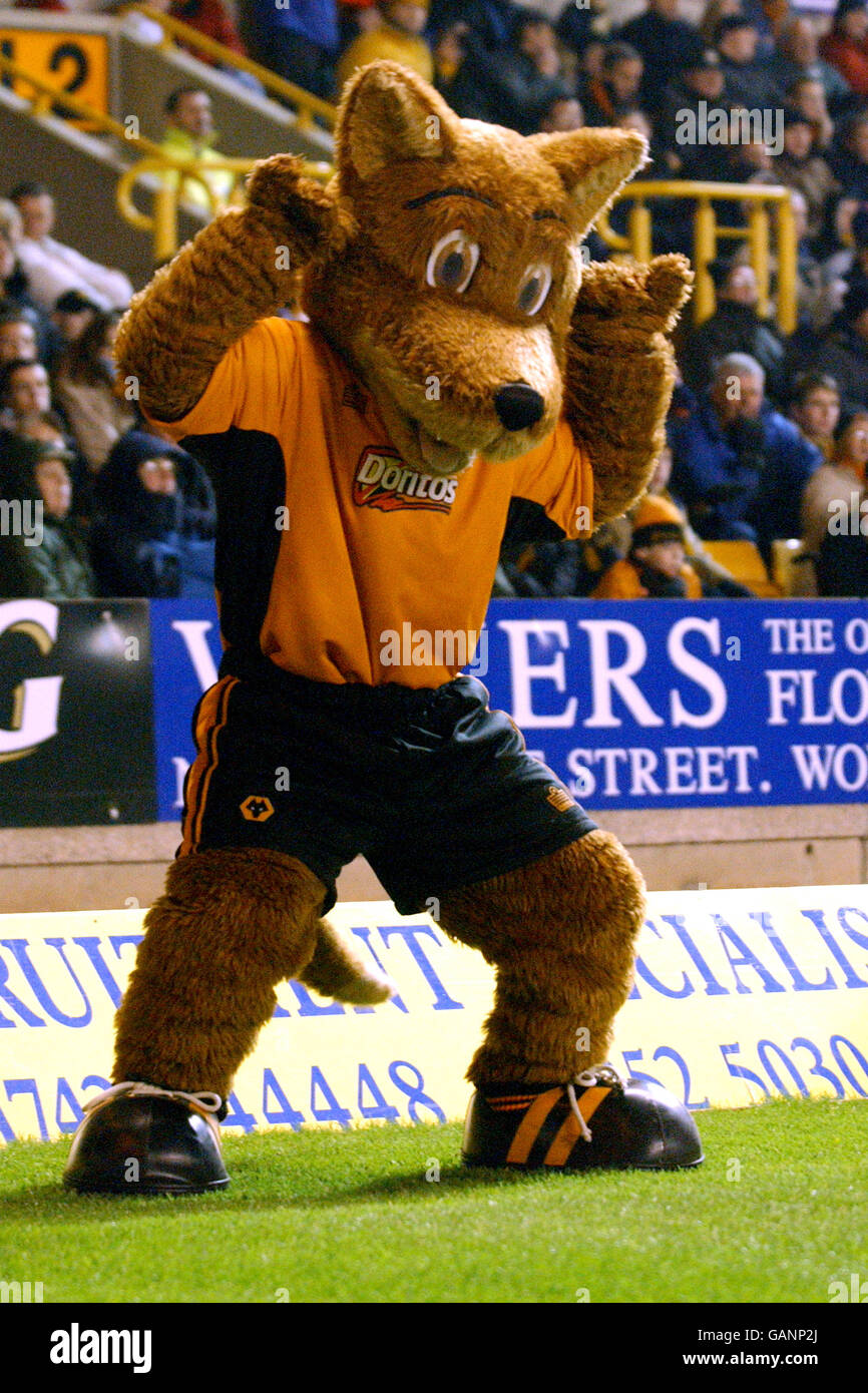 Wolverhampton wanderers mascot Banque de photographies et d’images à ...