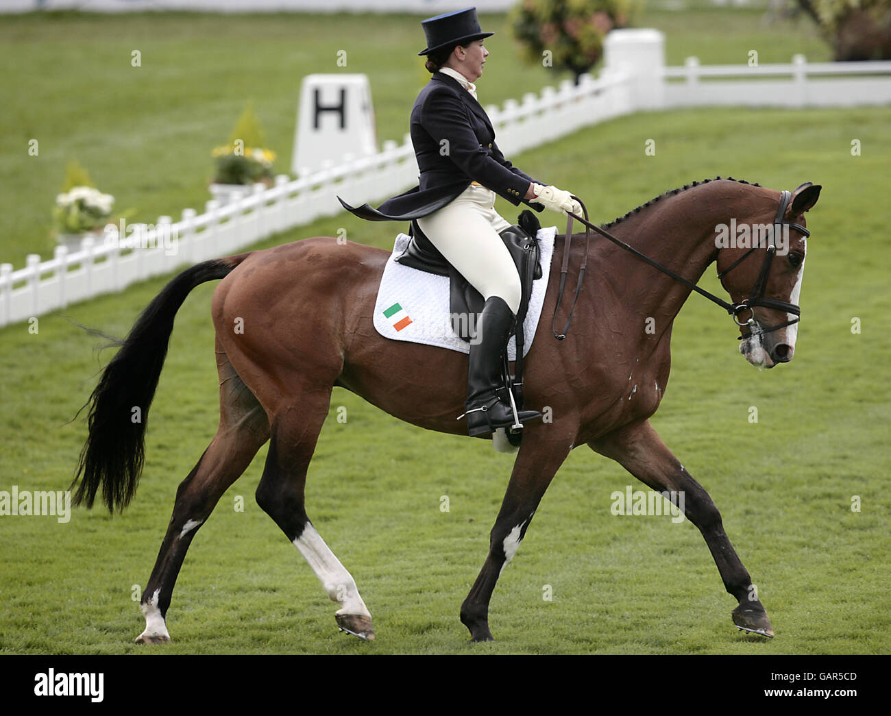 Jayne doherty Banque de photographies et d’images à haute résolution ...