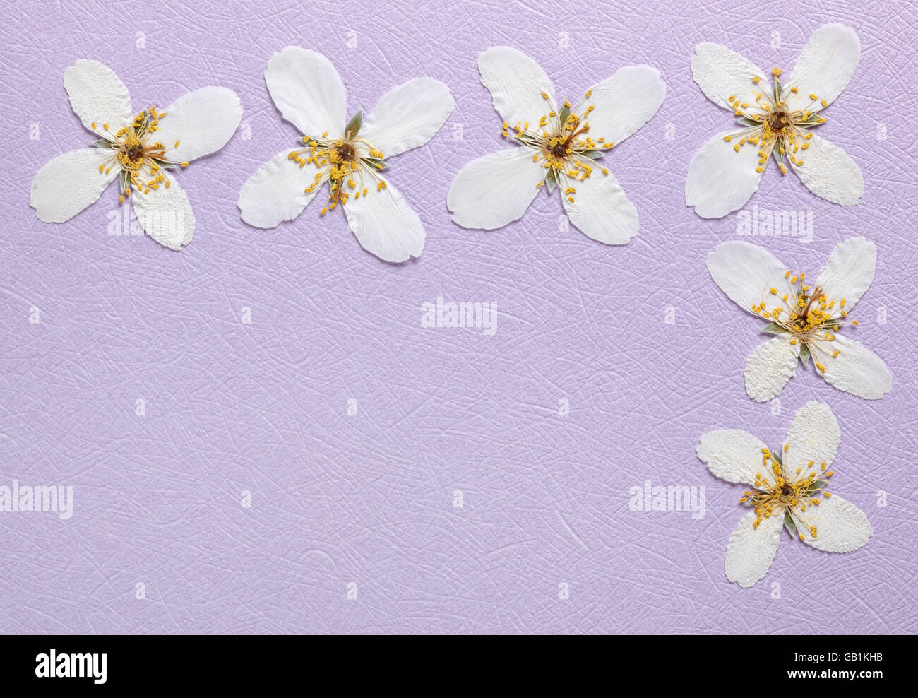 Cadre de coin fleur Banque de photographies et d’images à haute ...