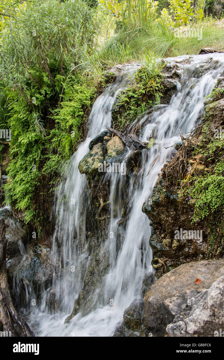 Zone naturelle de l'état des érables perdus Banque de photographies et ...