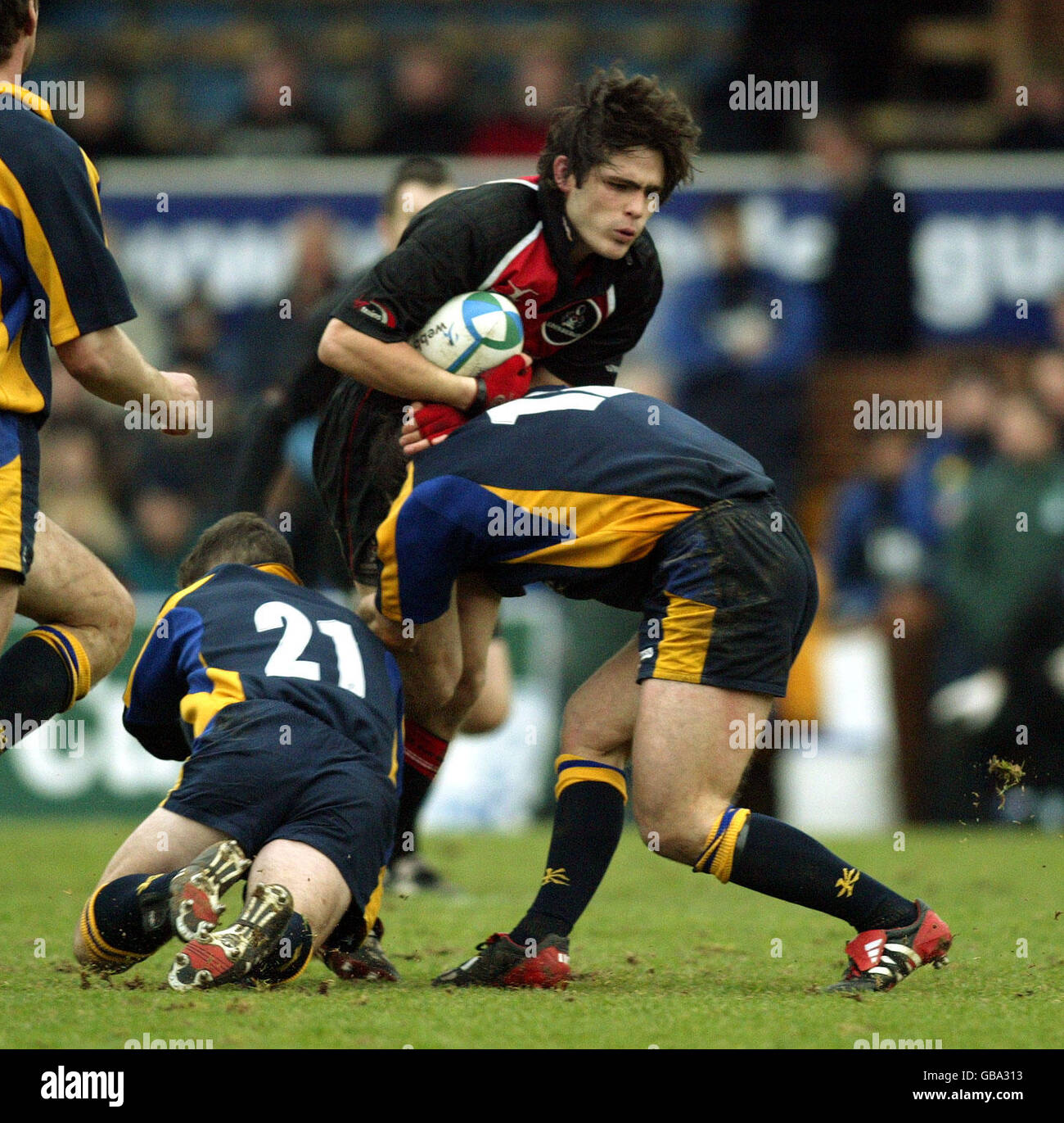 Marcus di rollo Banque de photographies et d’images à haute résolution ...