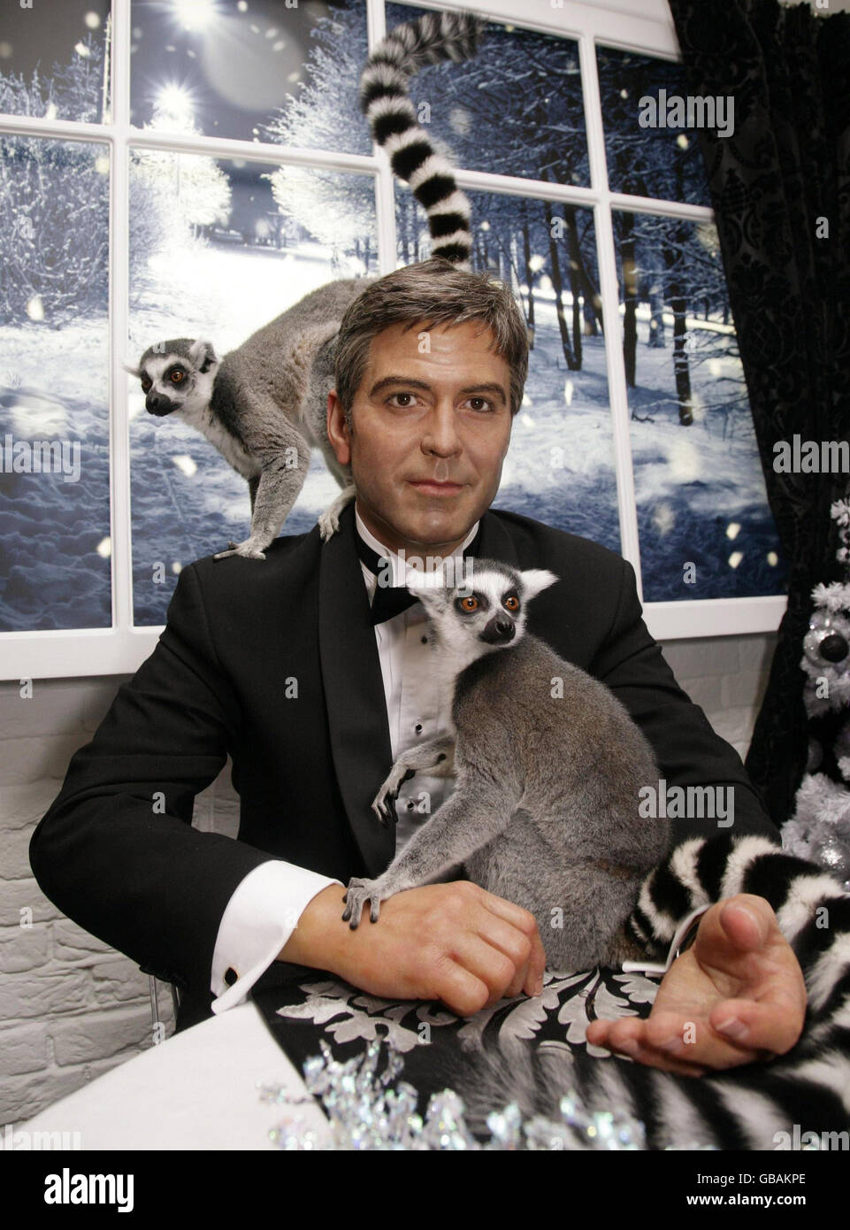 Deux lémuriens (Lee et Monty) du genre présentés dans le film d ...