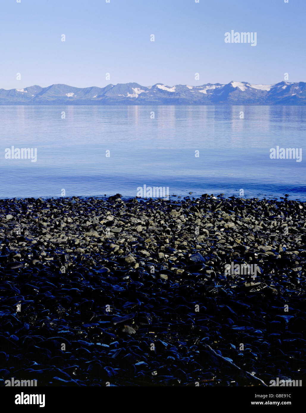Environnement, pollution environnementale, pollution par les ...