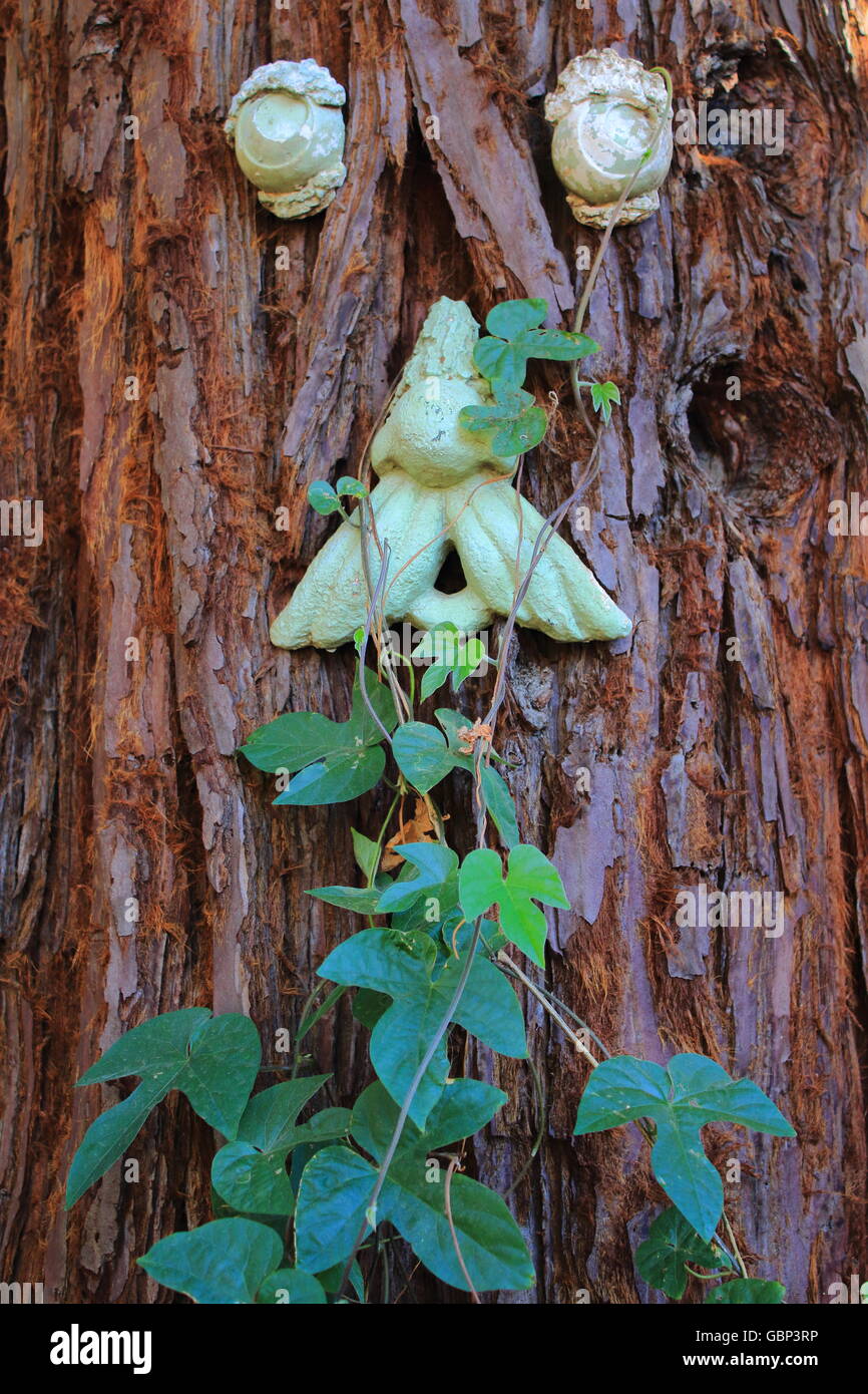 Homme d'arbre Banque de photographies et d’images à haute résolution ...