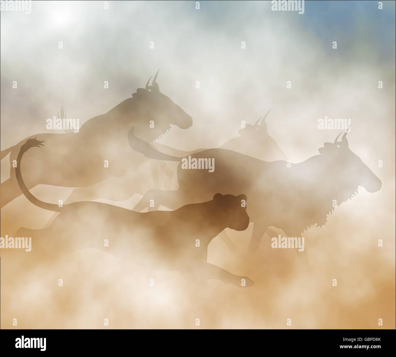 Lion chassant gnou Banque de photographies et d’images à haute résolution - Alamy