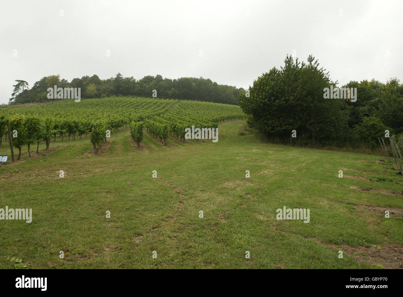 James mays toy stories Banque de photographies et d’images à haute ...