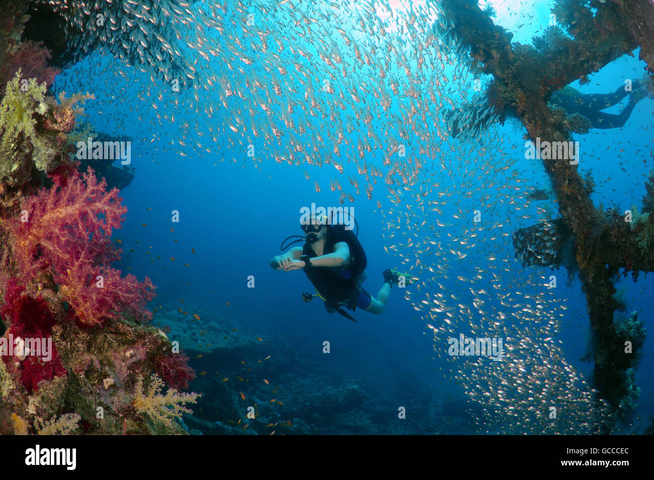 Le navire carnatic wreck red mer egypte Banque de photographies et d ...